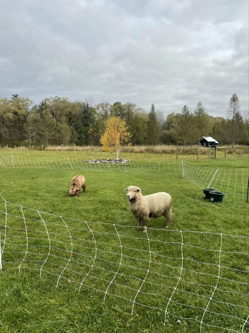 How to Build a Woven Wire Fence » Tree Farm Design Co.