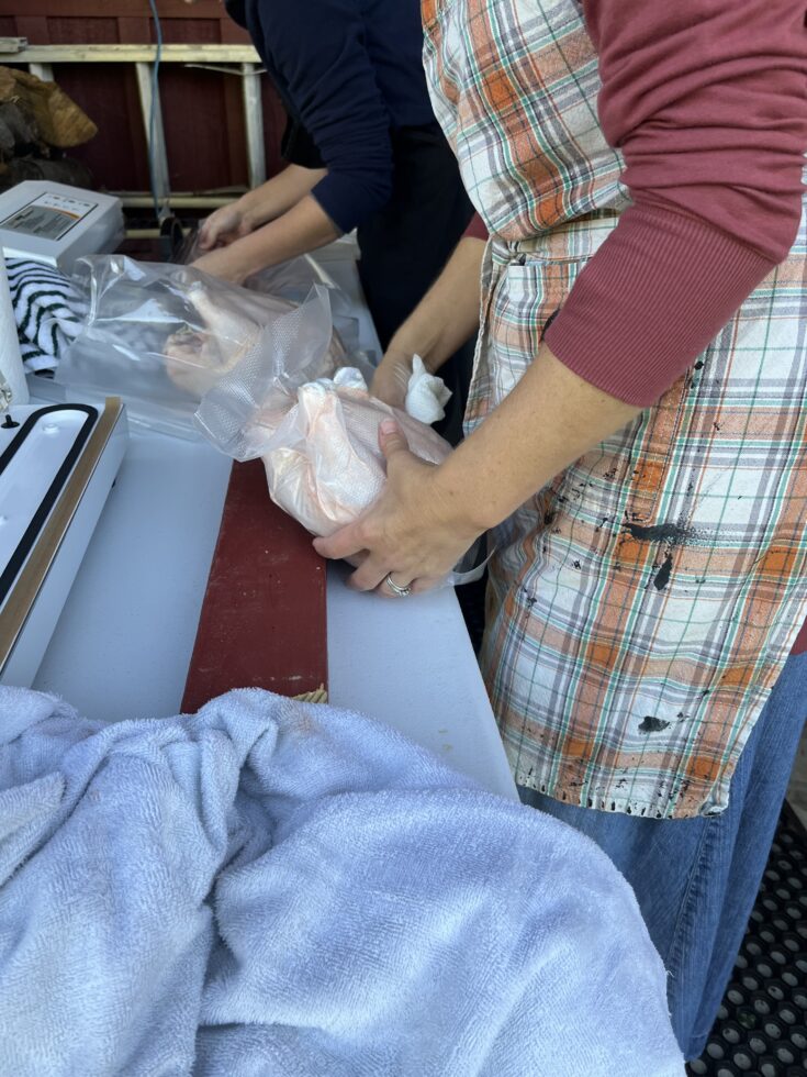 How to Make Chicken Butchering Easier » Tree Farm Design Co.